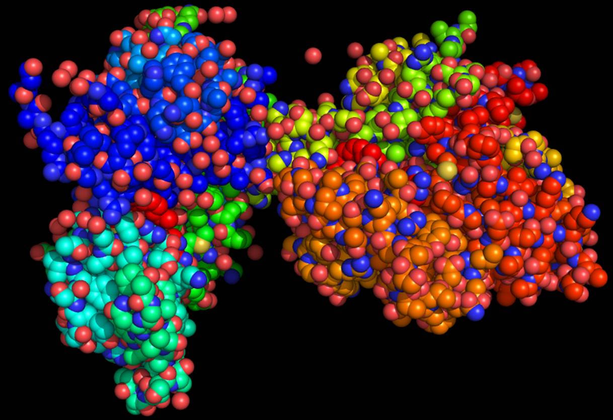 Actin Esthetics - Famous Proteins in Frames